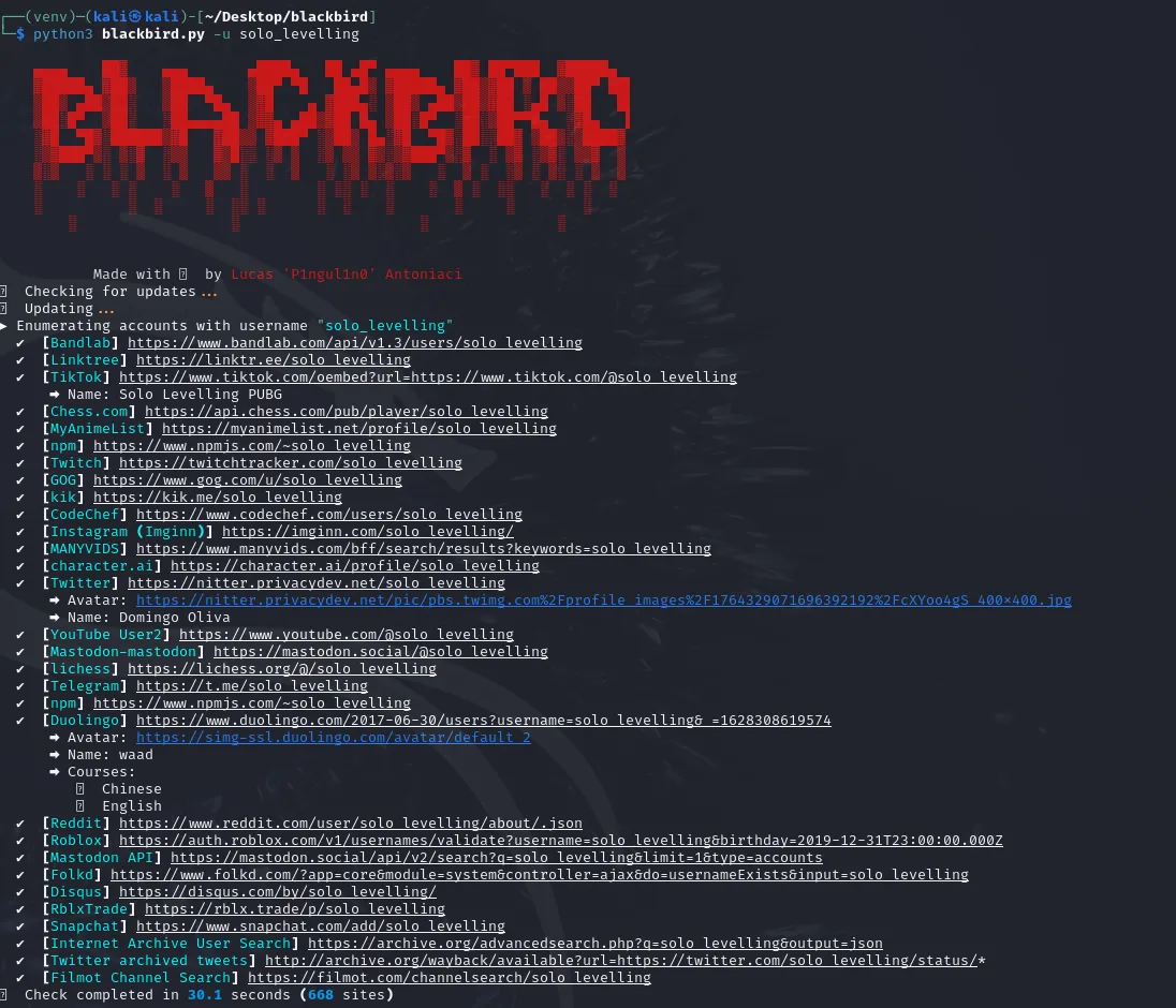 CyberJutsu Christmas 2024 [OSINT] - V I Z Ξ Я